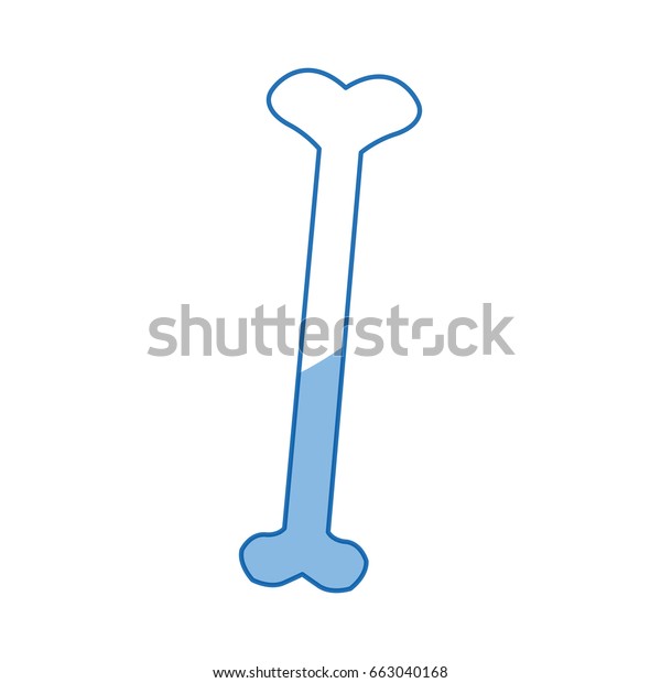 Drawing Human Bone Anatomy Orthopedic Stock Vector (Royalty Free ...