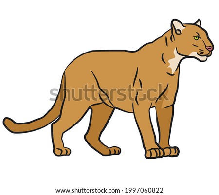 Mountain Lion Clipart | Free download on ClipArtMag