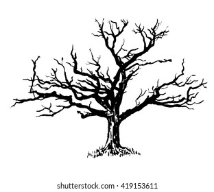 370 Gnarled tree Stock Vectors, Images & Vector Art | Shutterstock