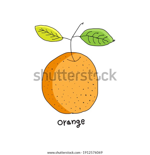 Drawing Orange Orange Color Sketch Vector Stock Vector (Royalty Free ...