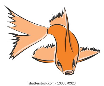 395 Streamlined fish Images, Stock Photos & Vectors | Shutterstock