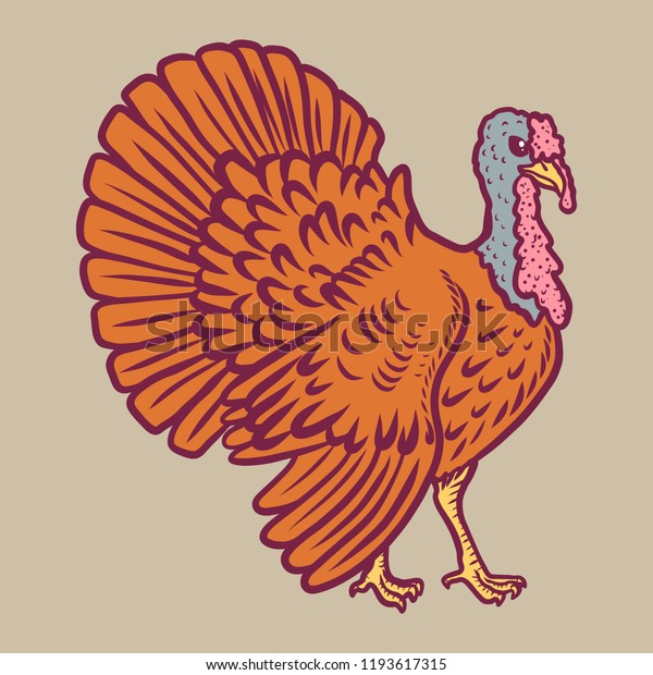 Drawing Realistic Turkey Icon Hand Drawn Stock Vector (Royalty Free ...
