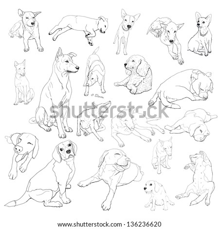 Sitting Dog Drawing | Free download on ClipArtMag