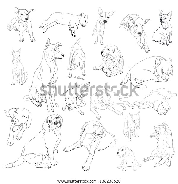 Drawing Set Dog On Many Pose Stock Vector (Royalty Free) 136236620