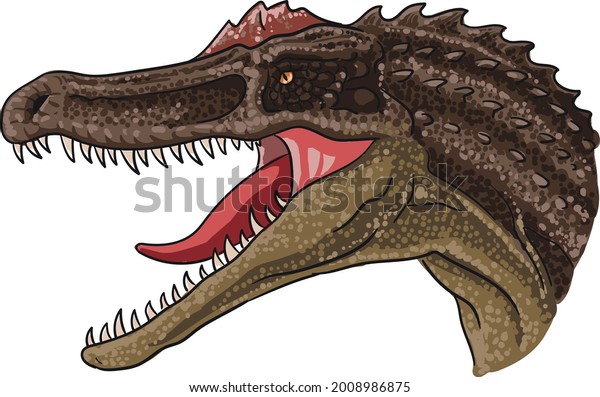Drawing Spinosaurus Head Artillustration Vector Stock Vector (Royalty ...