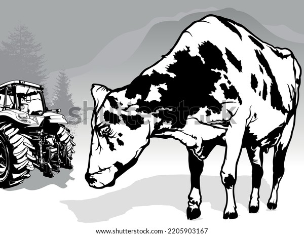 Drawing Spotted Dairy Cow Front View Stock Vector (Royalty Free ...