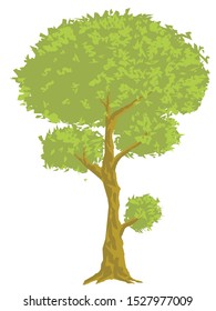 Drawing Tree Thick Leaves Stock Vector (Royalty Free) 1527977009 ...
