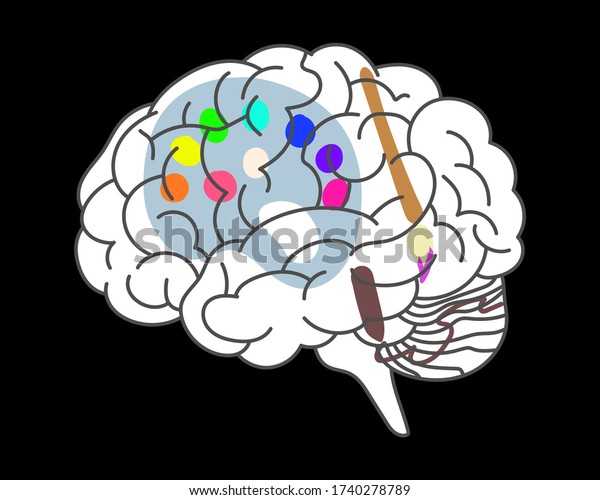Drawing various brain theory of Multiple Visual-Spatial Intelligence ...