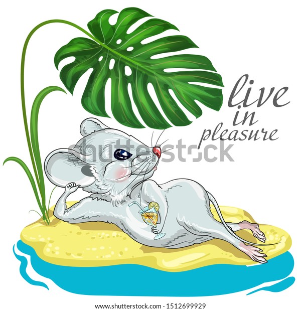 Drawing White Mouse On Vacation Suitable Stock Vector (Royalty Free ...