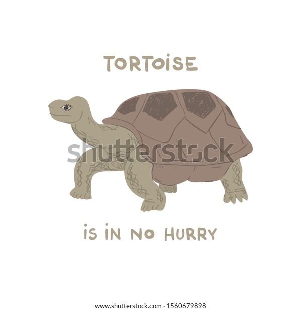 Drawn Giant Galapagos Tortoise Text Tortoise: เวกเตอร์สต็อก (ปลอดค่า ...