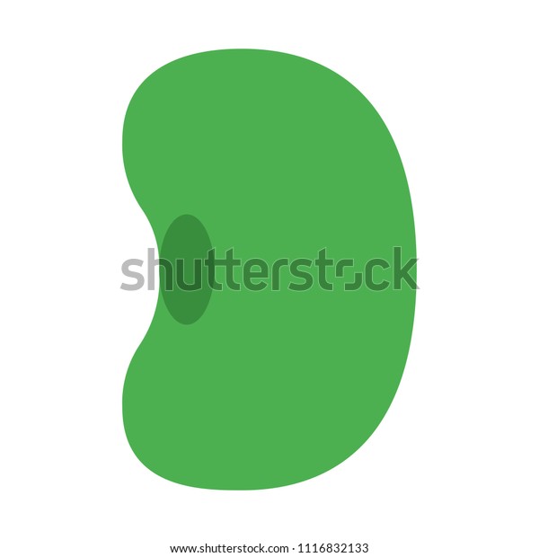Dried Haricot Bean Stock Vector (Royalty Free) 1116832133 | Shutterstock