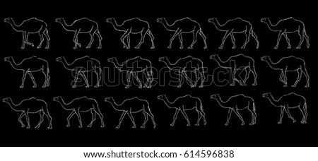 Dromedary Arabian Camel Vector Illustrationanimation Sprite Stock ...