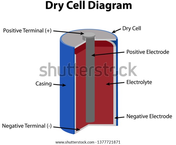Dry Cell Diagram 스톡 벡터(로열티 프리) 1377721871 | Shutterstock