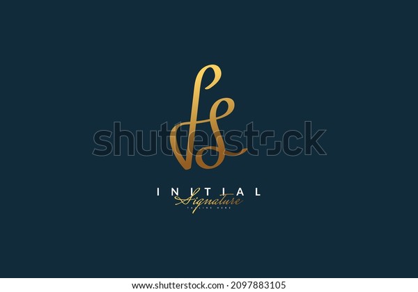 Ds Initial Logo Design Handwriting Style Stock Vector (Royalty Free ...