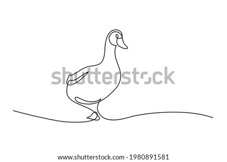 Duck Line Drawing | Free download on ClipArtMag