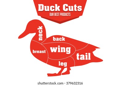 Duck Cuts Infographic Set Meat Parts Stock Vector (Royalty Free ...