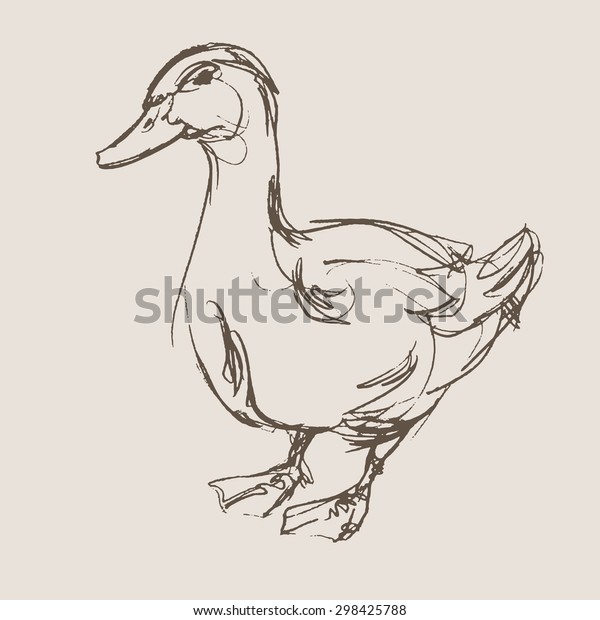 Duck Hand Draw Sketch Vector Stock Vector (Royalty Free) 298425788 ...