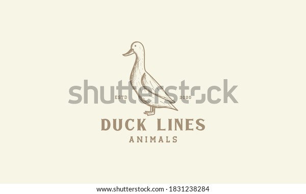 Duck Line Engraved Vintage Logo Vector Stock Vector Royalty Free