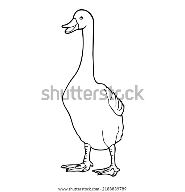 Duck Outline Vector Illustrationisolated On White: เวกเตอร์สต็อก (ปลอด ...