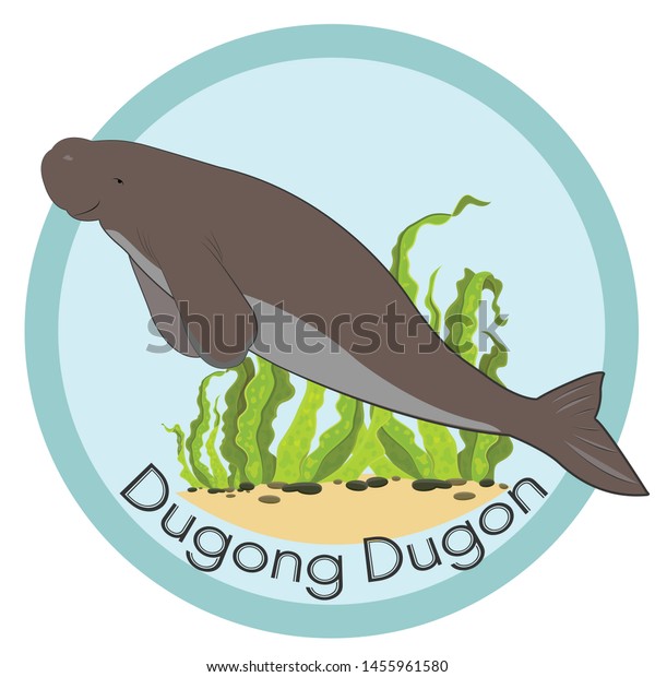 Dugong Vector Seagrass On Background Blue Stock Vector Royalty Free 1455961580