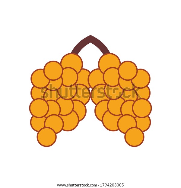 Duku Fruit Icon Vector Symbol Isolated Stock Vector (Royalty Free ...