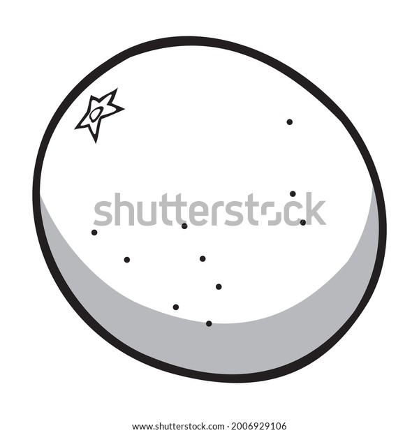 Duku Fruit Line Vector Illustrationisolated On Stock Vector (Royalty ...