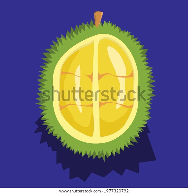 Durian Real Vector Make Logo Brand Stock Vector (Royalty Free ...
