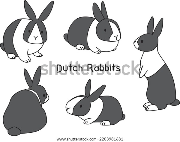 Dutch Rabbit Has 5 Different Poses Stock Vector (Royalty Free ...