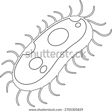 E Coli Drawing | Free download on ClipArtMag