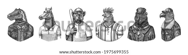 Eagle Aviator Pilot Rooster Tennis Player: Stock-Vektorgrafik ...