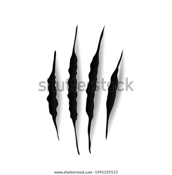 Eagle Claw Marks Scratches Predator Bird Stock Vector (Royalty Free ...