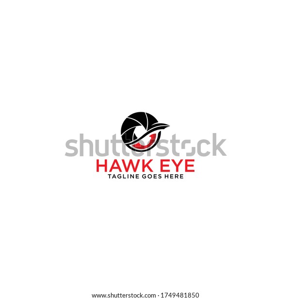 Eagle Eye Focus Logo Design Eagle Stock Vector (Royalty Free ...