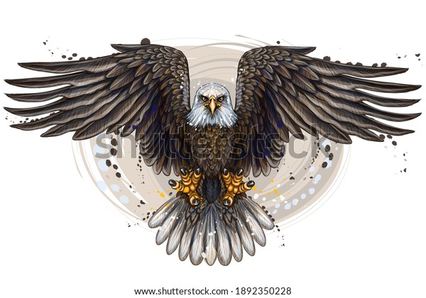 Eagle Flying Bald Eagle Color Realistic Stock Vector (Royalty Free ... Eagle Flying Bald Eagle Color Realistic Stock Vector (Royalty Free ...