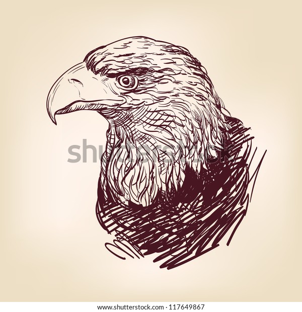 Eagle Hand Drawn Vector Illustration Isolated Stock Vector (Royalty ...