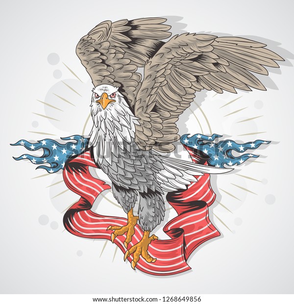 EAGLE HAWK USA FLAG DETAIL VECTOR