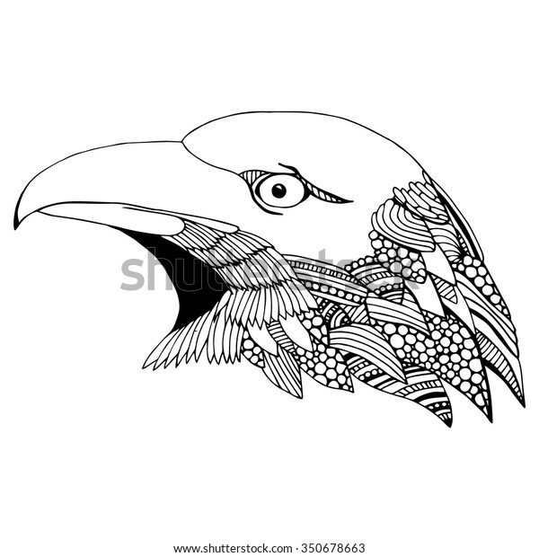 Eagle Head Doodle Illustration Stock Vector (Royalty Free) 350678663 ...