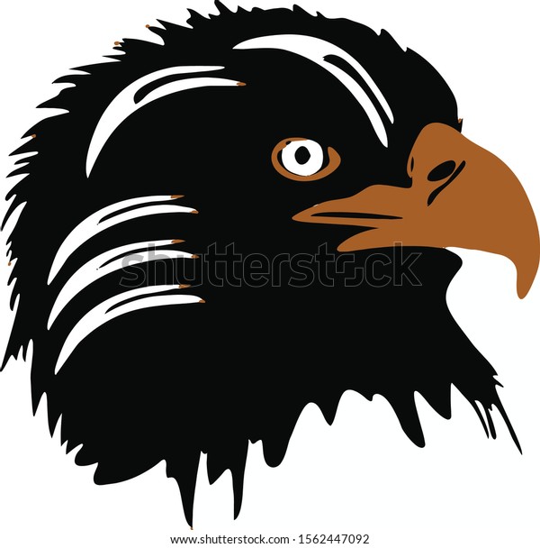 Eagle Illustrator Design Art Stock Vector (Royalty Free) 1562447092 ...