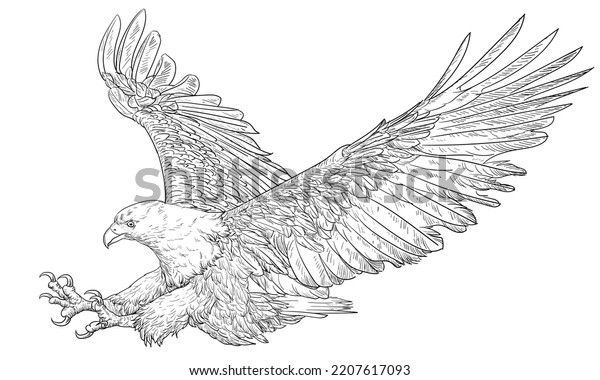 Eagle Landing Swoop Attack Hand Drawn Stock Vector (Royalty Free ...