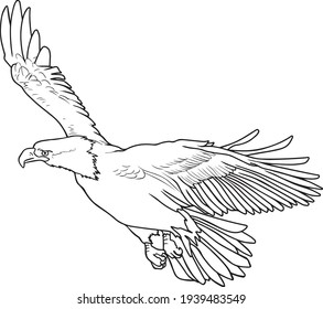 161 Top View Eagle Stock Vectors, Images & Vector Art | Shutterstock
