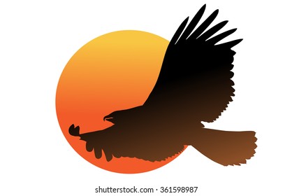 3,667 Eagle flying into sun Images, Stock Photos & Vectors | Shutterstock