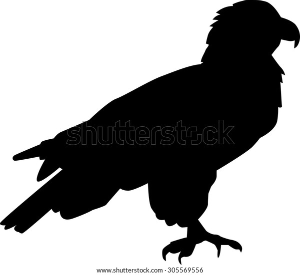 Eagle Silhouette Standing Stock Vector (Royalty Free) 305569556