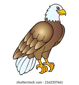3,480 Top View Eagle Images, Stock Photos & Vectors | Shutterstock