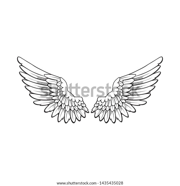 Eagle Wing Angel Wing Spread Out: เวกเตอร์สต็อก (ปลอดค่าลิขสิทธิ์ ...