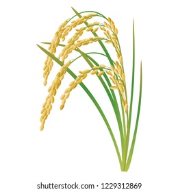 Ear Rice Plant Stock Vector (Royalty Free) 1229312869 | Shutterstock