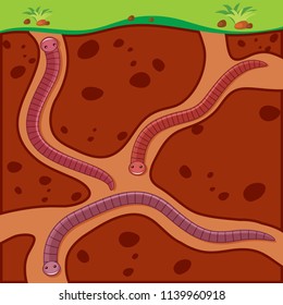 Earthworm Digging Soil Underground Illustration Stock Vector (Royalty ...