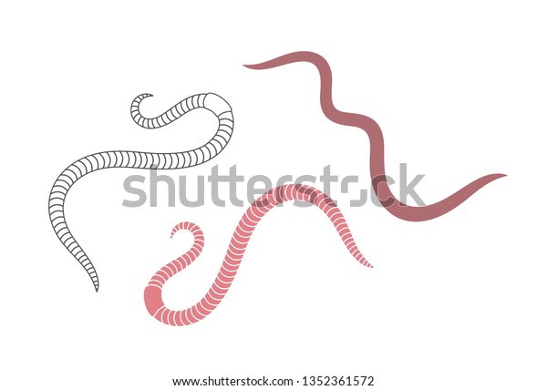 Earthworm Logo Isolated Earthworm On White: vector de stock (libre de ...