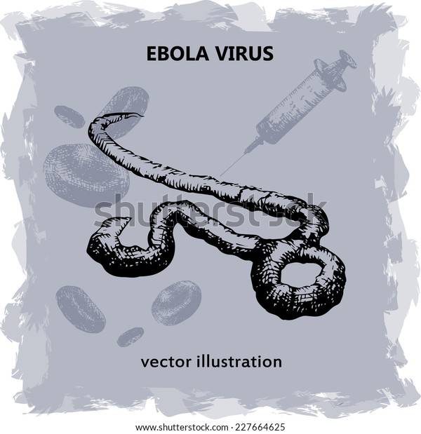 Ebola Virus Vector Illustration Stock Vector (Royalty Free) 227664625 ...