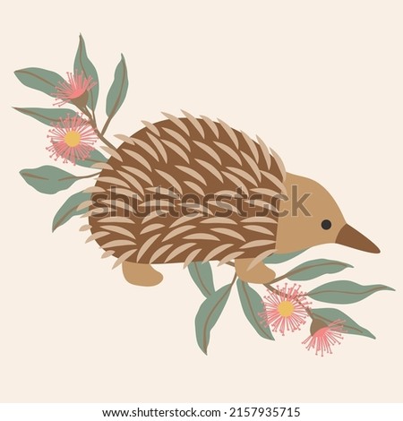 Australian Animals Clipart | Free download on ClipArtMag