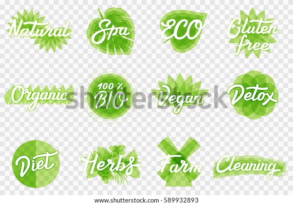 Eco Bio Green Set Logo Design Stock Vector (Royalty Free) 589932893 ...
