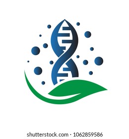 Eco Dna Leaf Logo Stock Vector (Royalty Free) 1062859586 | Shutterstock